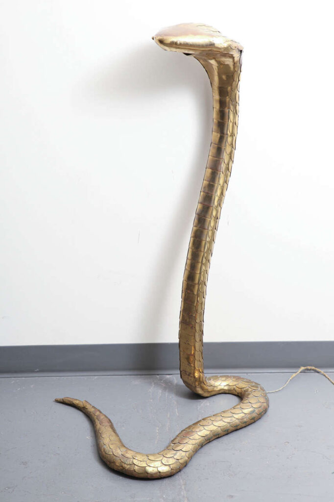 Cobra Craze – Jen Talbot Design
